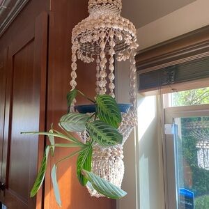 Accents | Cowrie 197s Vintage Mid Century Hanging Shell Macrame Plant ...